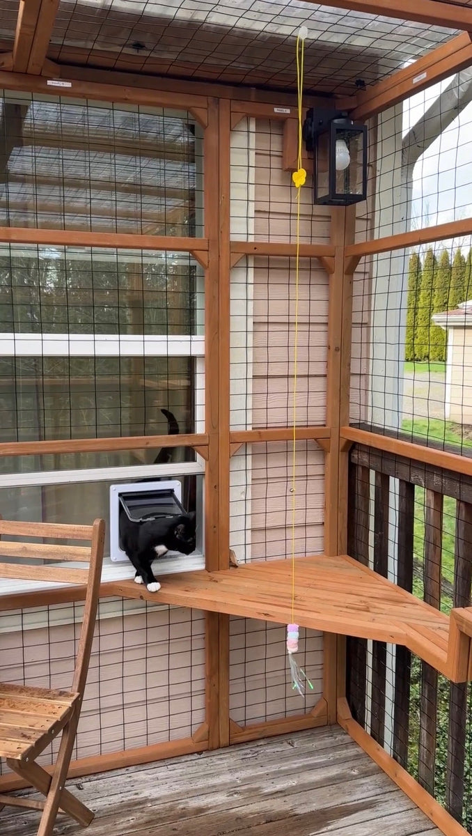 Safe Outdoor Time for Cats: Catios & Window Inserts – Cat Flap Fever ...