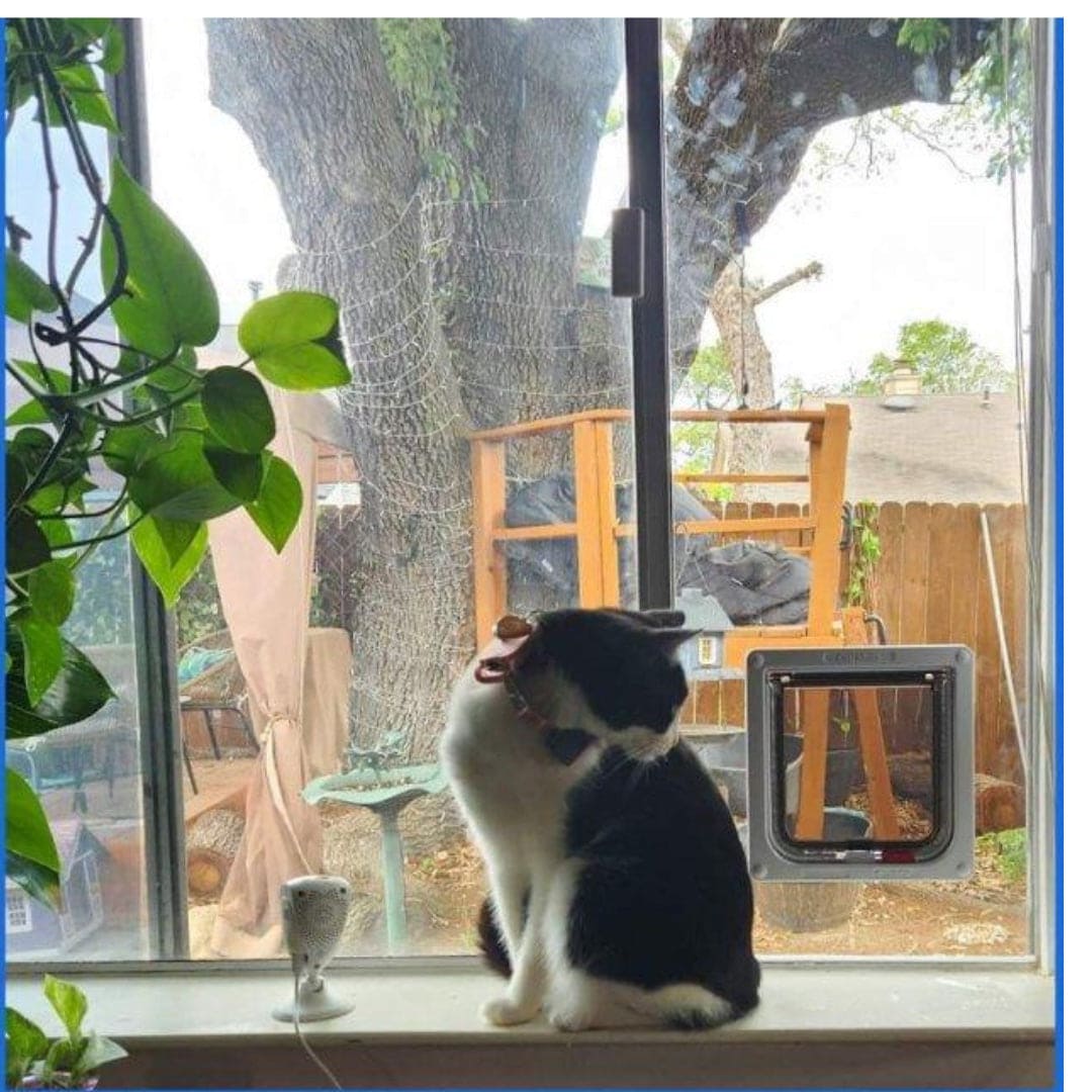 Custom Built vs Expandable Cat/Dog Doors for the Window – Cat Flap ...