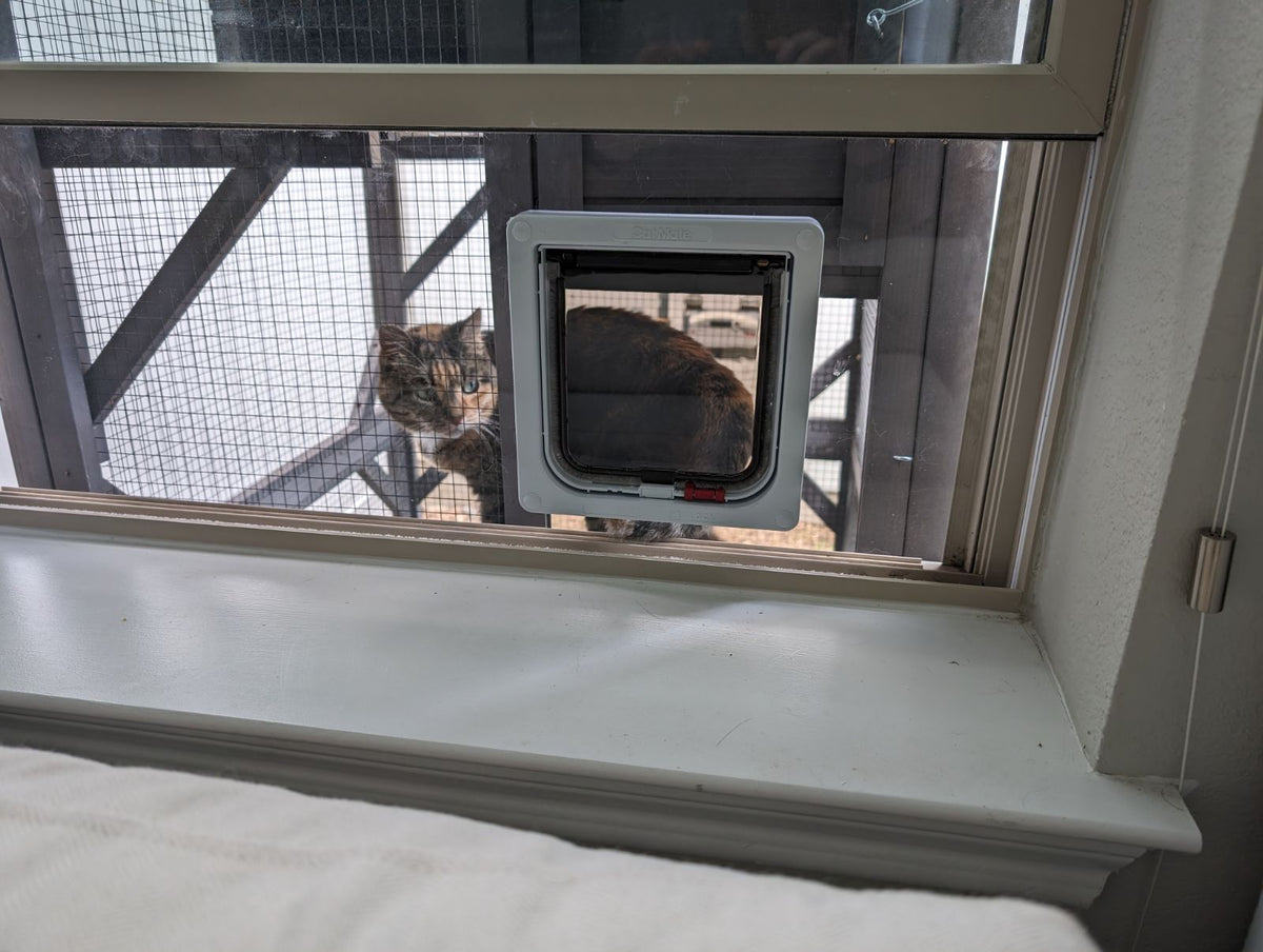 Custom Cat Flap Window Insert | Draft-Free, Catio-Ready, Made in the ...