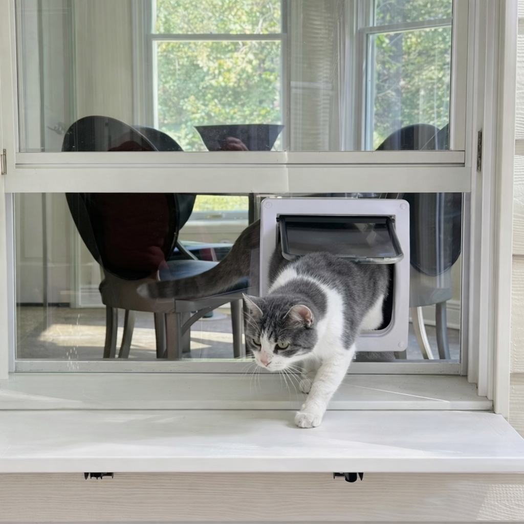 Best Custom Pet Doors for Windows for Cats & Small Dogs - Easy Install ...
